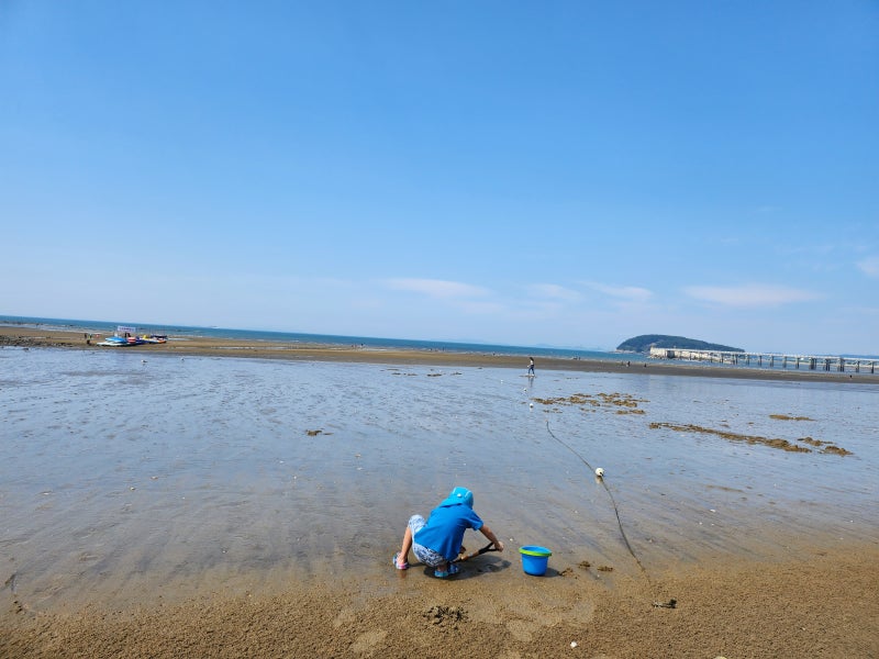 보령 용두해수욕장 동백관 객실 및 숲속야영장캠핑장 방문 후기 네이버 블로그