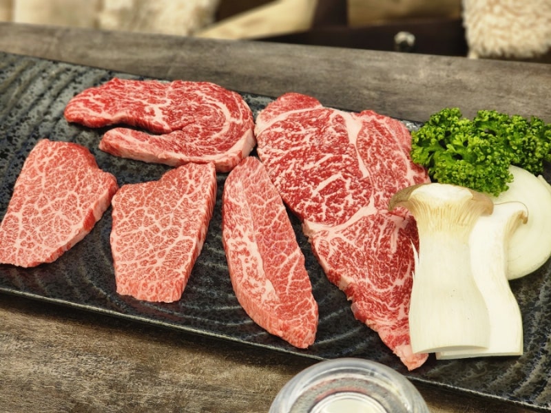 강릉 애견동반식당 강문해변 초당우가 네이버 블로그