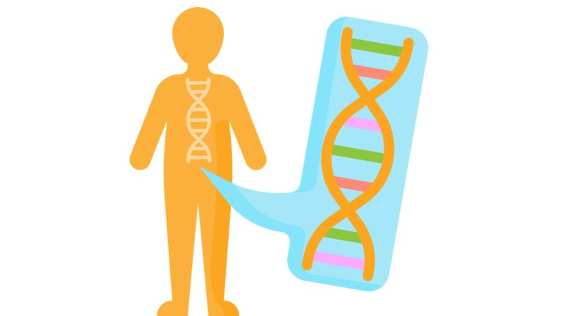 친자 확인 유전자 검사 하는곳 비용 가격 방법 제출 서류 및 종류 네이버 블로그