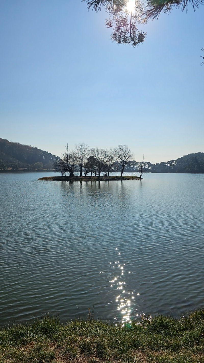 충북 제천 산책하기 좋은 의림지 저수지 18km 둘레길 용추폭포 운영중단 기간무료 주차장 네이버 블로그