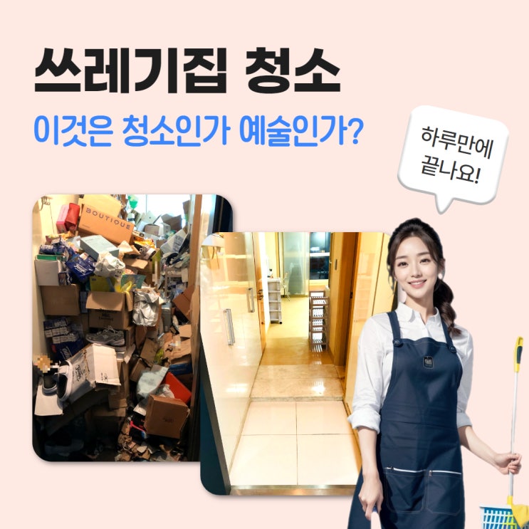 더러운 집 정리 청소 도우미 업체 서비스 후기
