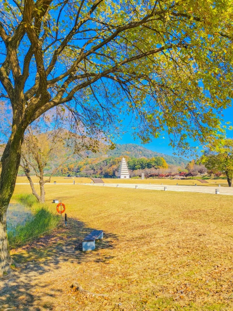 익산 국립박물관 미륵사지 석탑 실내 가볼만한곳 네이버 블로그