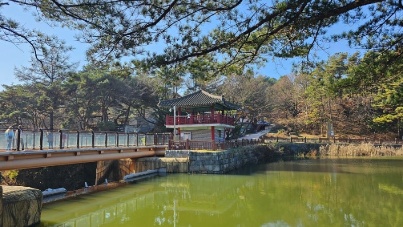 충북 제천 산책하기 좋은 의림지 저수지 18km 둘레길 용추폭포 운영중단 기간무료 주차장 네이버 블로그