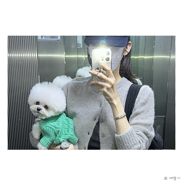 강민경 사복패션 속 아비에무아 알파카 니트 가디건 가격은
