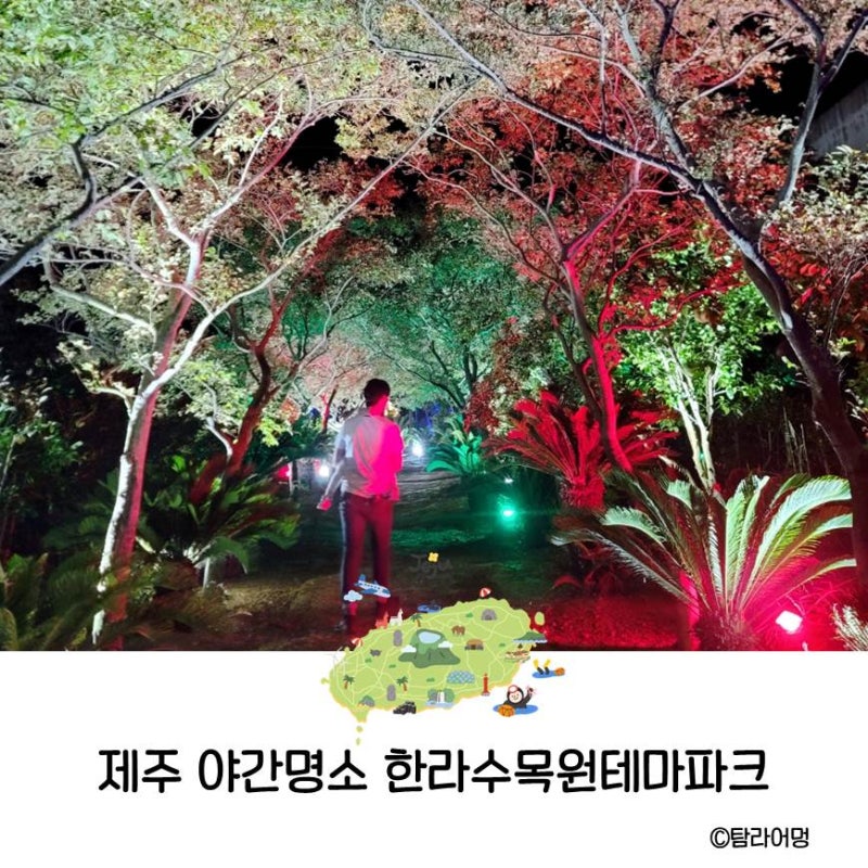 제주 야간명소 한라 수목원 테마파크 야시장 밤산책 가볼만한곳 네이버 블로그
