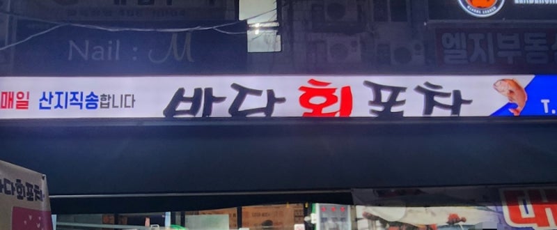 안산 횟집 방어 광어 맛집 추천 월피동 바다회포차 내돈내산 찐 추천 후기 네이버 블로그
