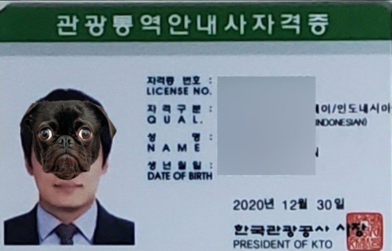 2024 관광통역안내사 시험일정관통사 플렉스 필기 면접 합격률 합격후기 네이버 블로그