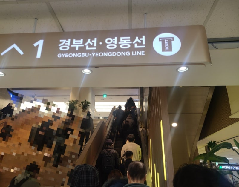 고속터미널 꽃시장 위치 찾아가는길 꽃가격 영업시간 준비물 네이버 블로그