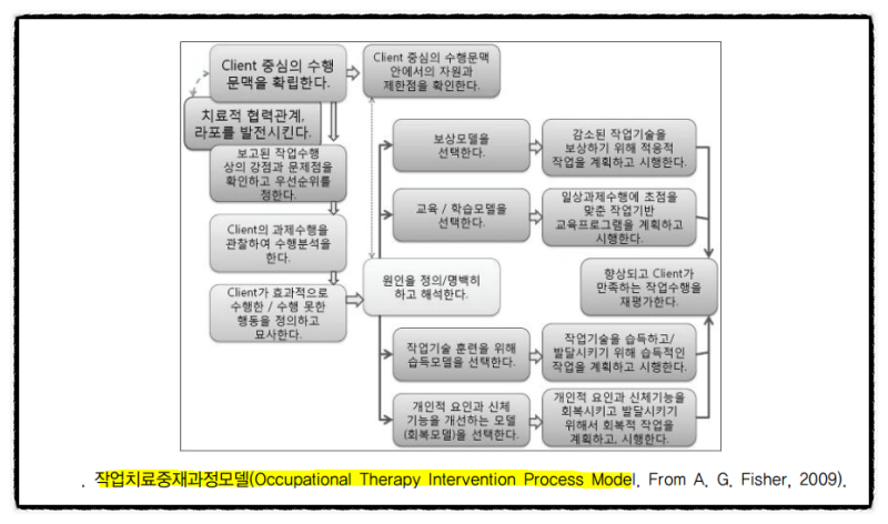 작업치료 중재 과정 모델(OTIPM, Occupational Therapy Intervention Process Model ...