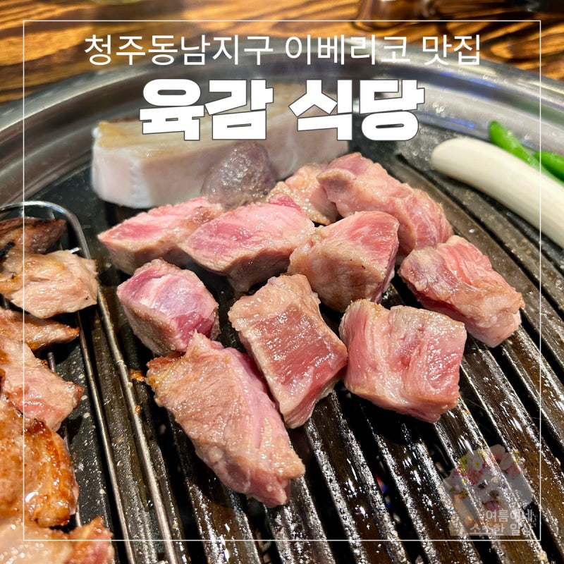 청주맛집 동남지구 육감식당 이베리코 돼지고기 네이버 블로그