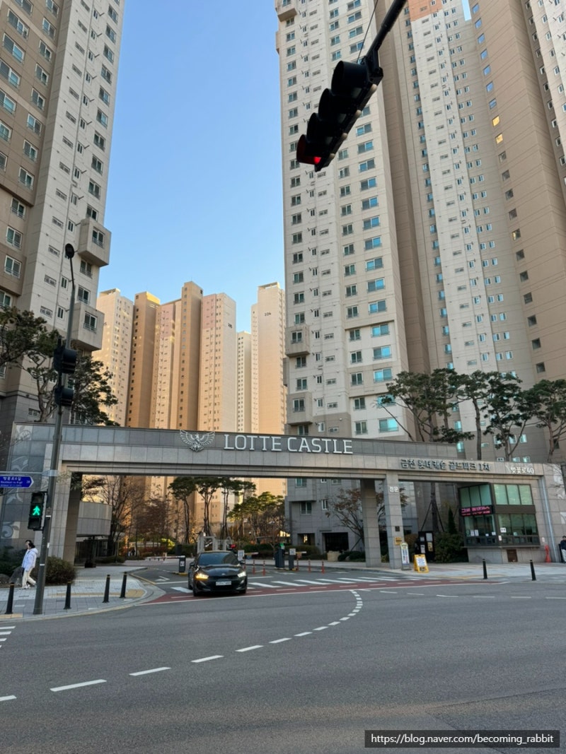 금천구청역 독산역 임장 후기 롯데캐슬골드파크1차 2차 금천이랜드해가든 아파트 네이버 블로그