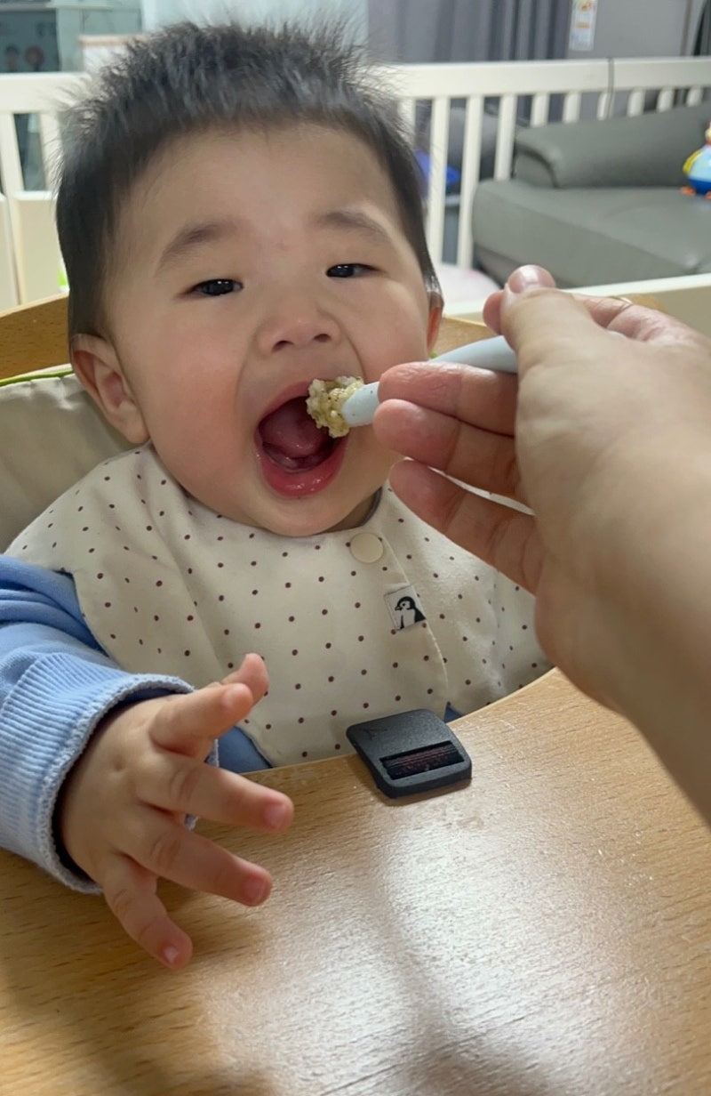 8개월 아기 분유량 간식 이유식 양 스케줄 네이버 블로그