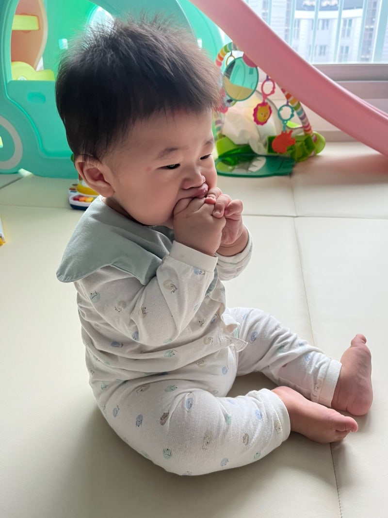 8개월 아기 분유량 간식 이유식 양 스케줄 네이버 블로그