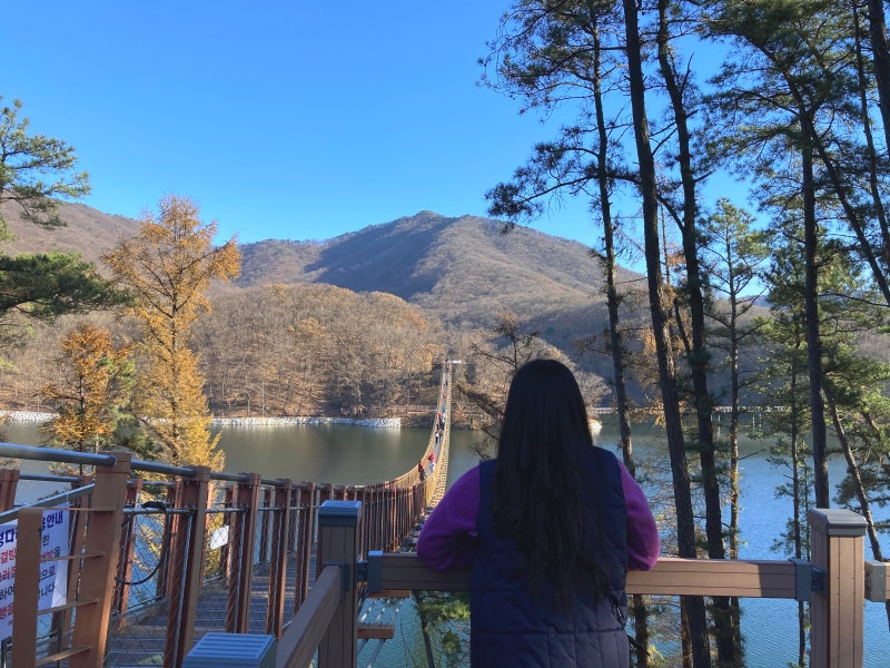 파주 당일치기 여행 오지고트립 Dmz 평화의길 다녀왔지롱 ★ 출렁다리 둘레길 네이버 블로그