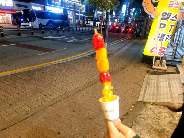 천안 두정동 백반맛집 고바우본점 우렁쌈장백반 And 순두부백반 네이버 블로그