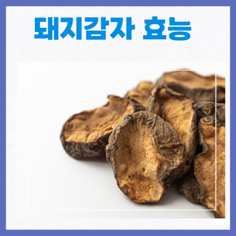 건강차 돼지감자 효능 돼지감자차 효능 칼로리 돼지감자즙 네이버 블로그