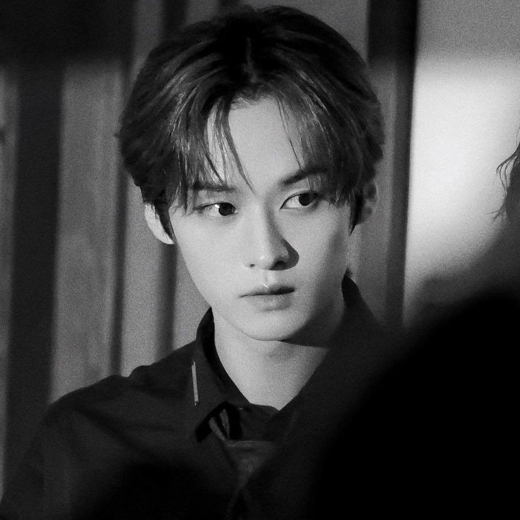 스트레이키즈 빙의글리노 빙의글 여주 업어키운 조직 보스 11 네이버 블로그