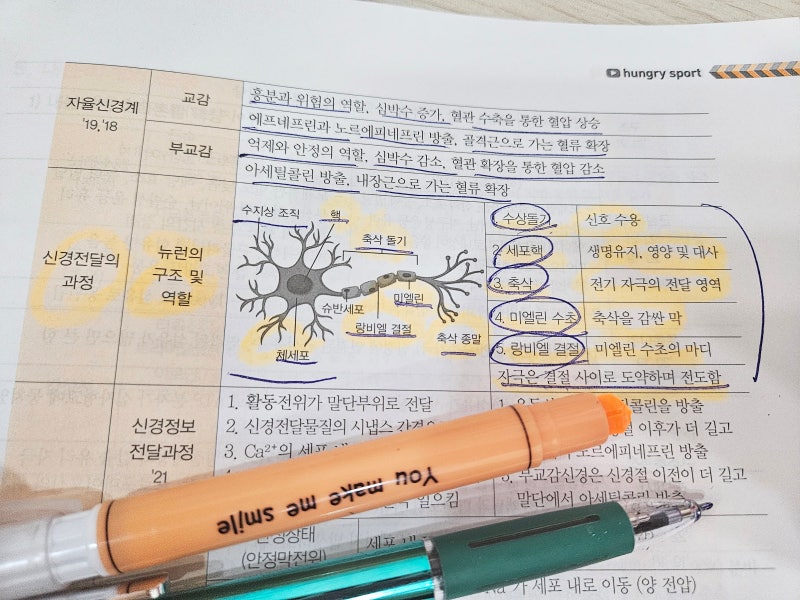 생활스포츠지도사2급 자격증 쉬운 취득방법 필기실기 네이버 블로그