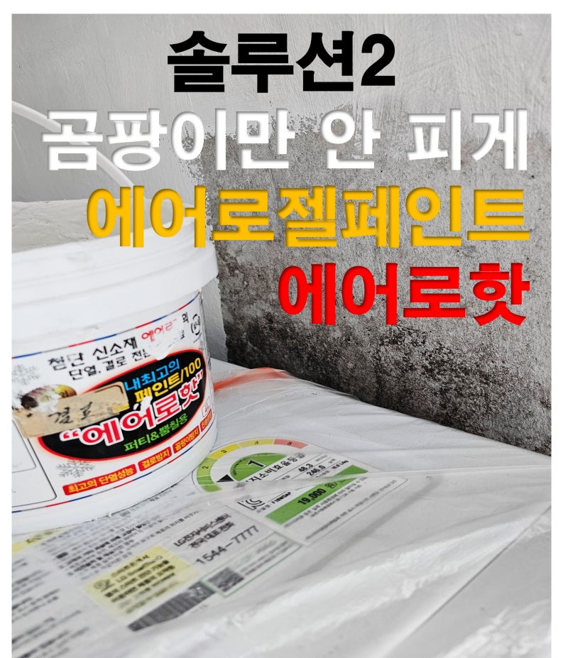 뒤 베란다 세탁기 옆 곰팡이 세탁실 곰팡이 잘 피는 이유와 해결 방법경기도 고양시 일산 아파트 베란다 곰팡이 제거 곰팡이 방지