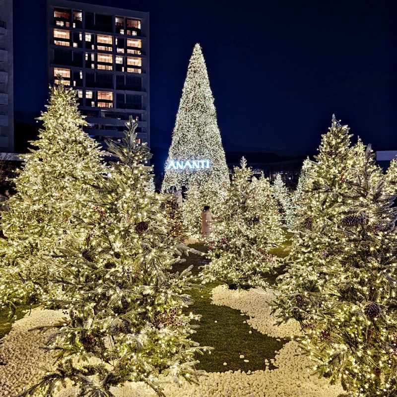 부산 기장 크리스마스 트리 / 지금 꼭 가봐야 할 빌라쥬 드 아난티 트리 광장 마을 (무료) : 네이버 블로그