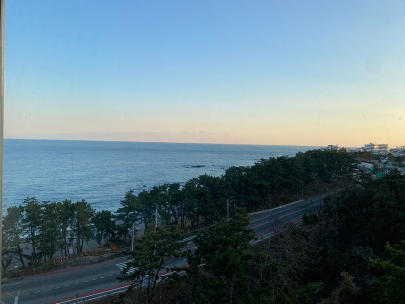 23 경주여행 5 경주 감포 🌊베스트웨스턴플러스 경주 이용후기 스탠다드 더블룸 24h Stay 웰컹드링크 2잔 🤩