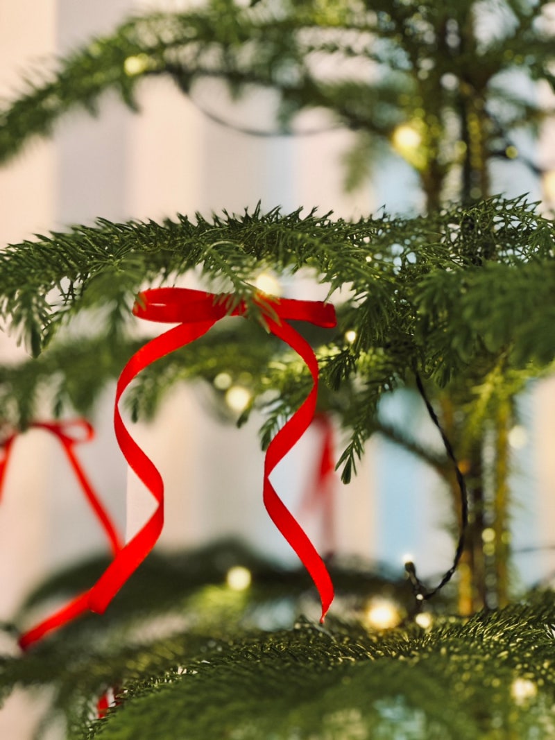 크리스마스 아라우카리아 생화 리본트리 만들기 🎄 다이소 리본 추천 네이버 블로그
