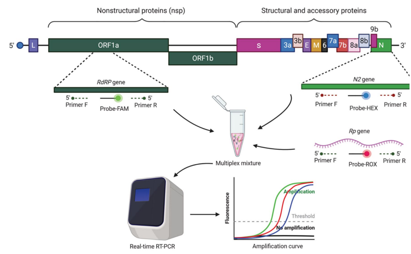 Singleplex와 Multiplex PCR 차이점 : 네이버 블로그