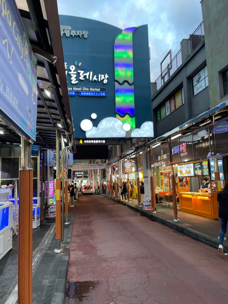 제주여행 231125 제주 올래시장 올래야시장 네이버 블로그