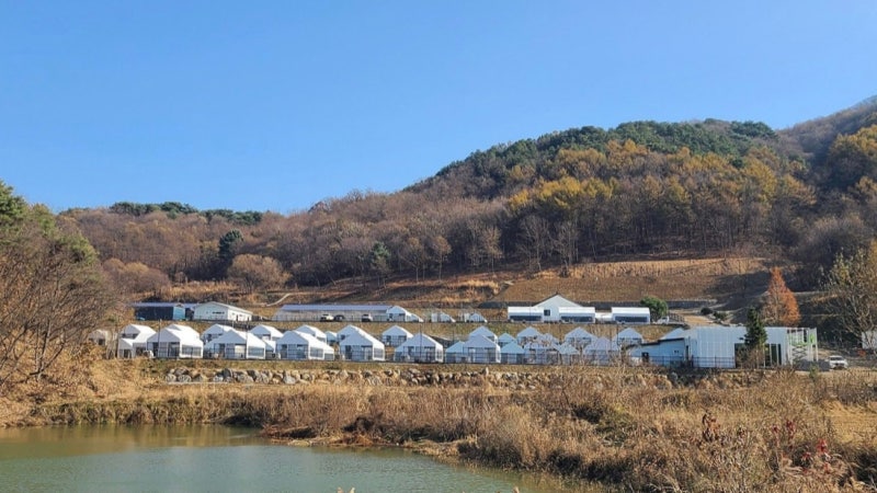 경기도 포천 신생 키즈캠핑장 캠프다온 예약 네이버 블로그