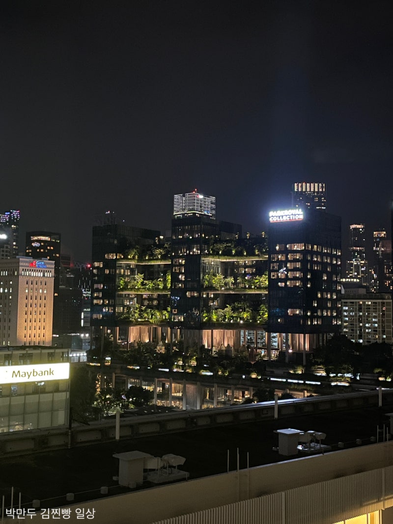 싱여행1일차 싱가포르 스위소텔 파라독스 머천트 수영장 1월 싱가폴날씨 야경 싱가폴 마리나베이뷰호텔 네이버 블로그