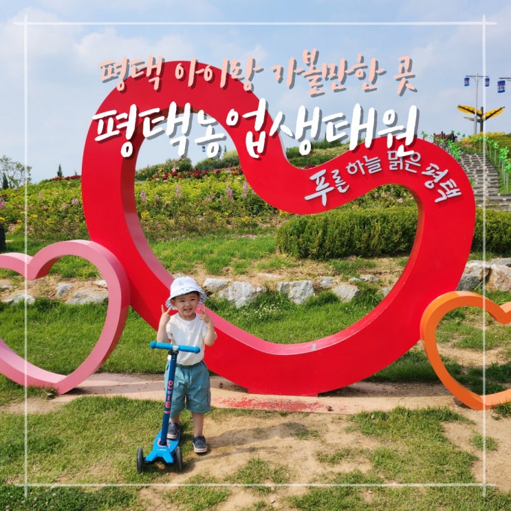 경기도 평택 아이와 가볼만한곳 평택농업생태원 나들이 토끼먹이주기 모래놀이 놀이터