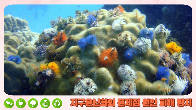 지구온난화의 문제점 원인 피해 방지 위한 노력은 네이버 블로그