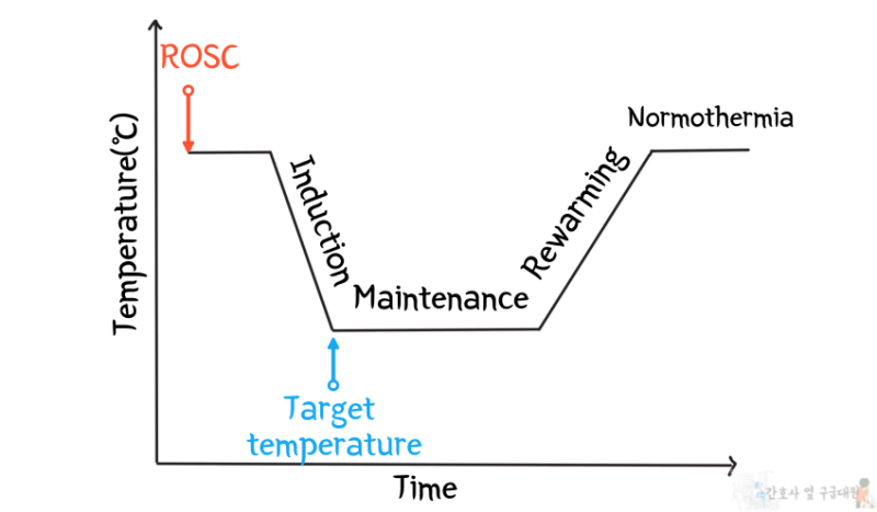 목표 체온 유지 치료 : TTM(Target Temperature Management) : 네이버 블로그