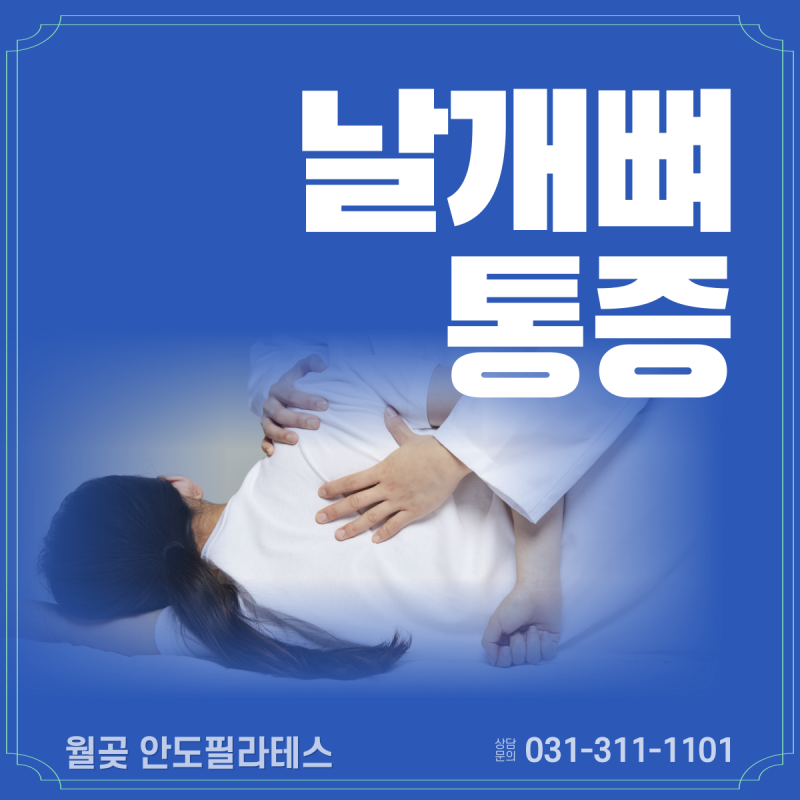 [배곧 월곶 필라테스] 등 통증 날개뼈 통증의 원인이 뭘까 네이버 블로그