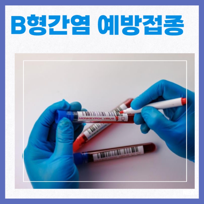 B형 간염 초기증상 성인 진단 치료 B형간염 예방접종 가격 항체 안생기는 사람 네이버 블로그