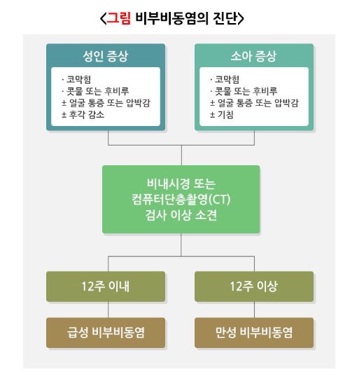 〔어린이 감기〕부비동염축농증 증상 빠른 치료가 필수 네이버 블로그