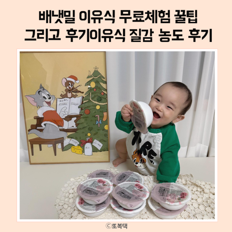 시판이유식 배냇밀 무료체험 꿀팁 후기이유식 메뉴 입자 질감 후기 네이버 블로그