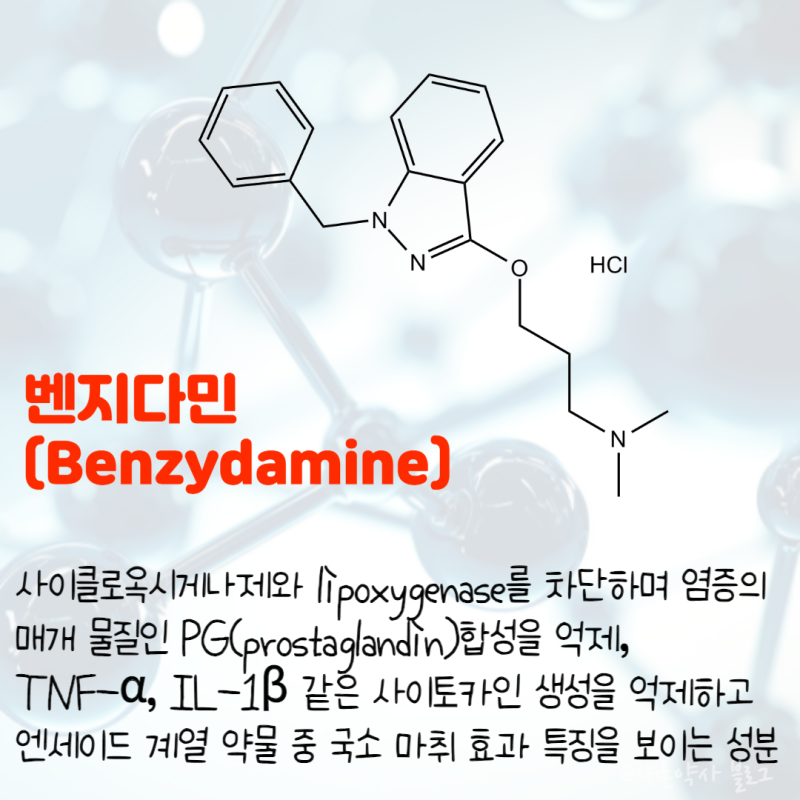 약국 구강염증 완화 구내염 탄툼 가글 사용법 및 성분의 기전 네이버 블로그