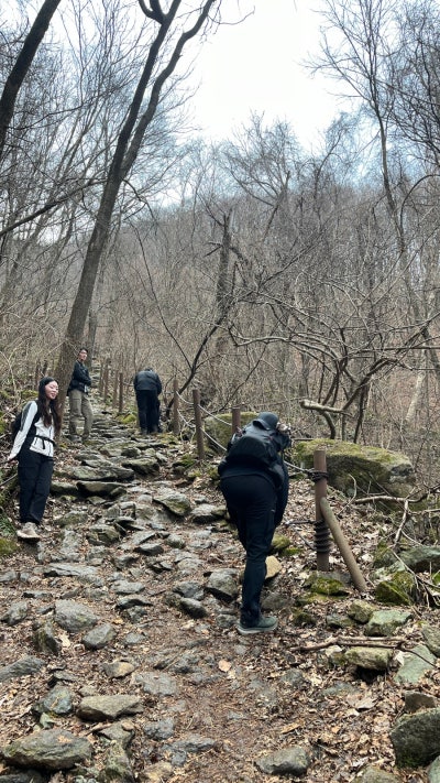 소백산 비로봉 등산코스 어의곡 소요시간 난이도 12월 날씨 입산 시간 준비물 네이버 블로그
