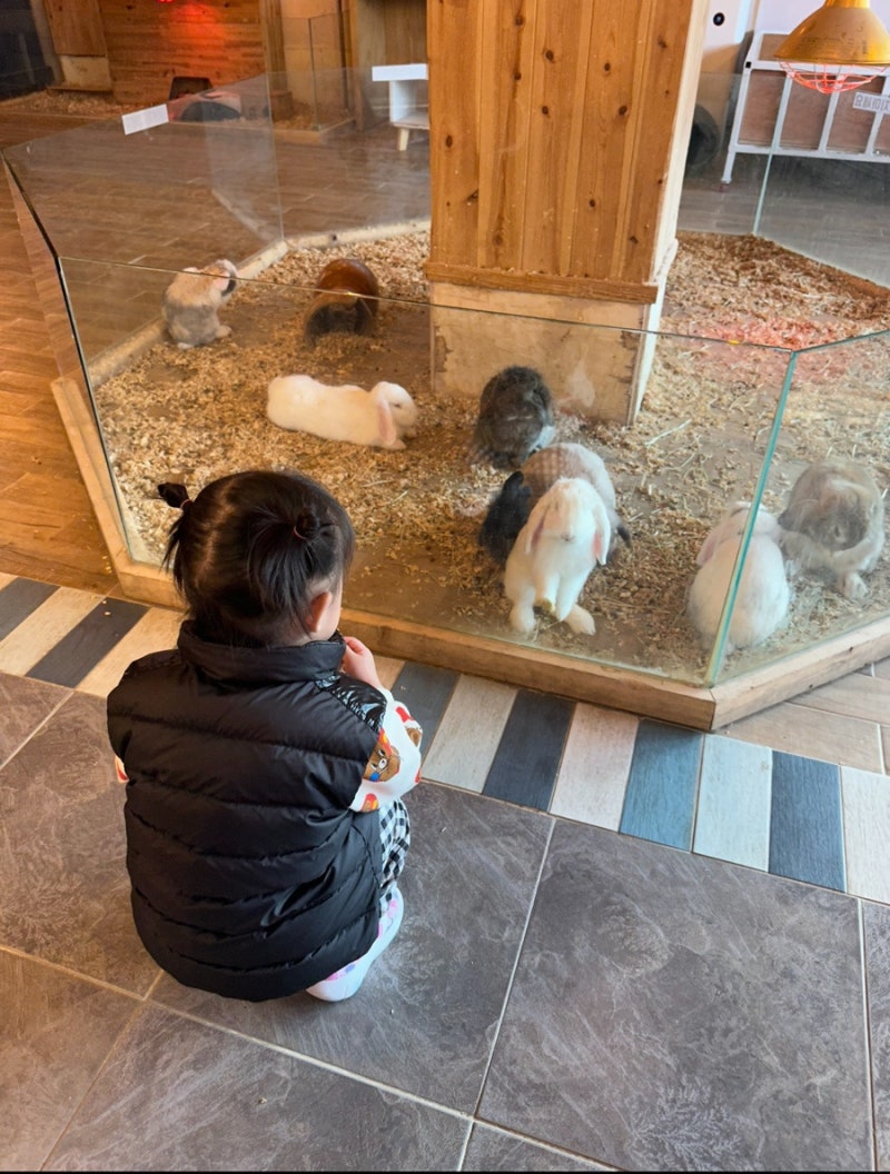 논산 토끼랑카페 대전 근교 아이랑 갈만한 곳 먹이체험 And 놀거리 가득 네이버 블로그