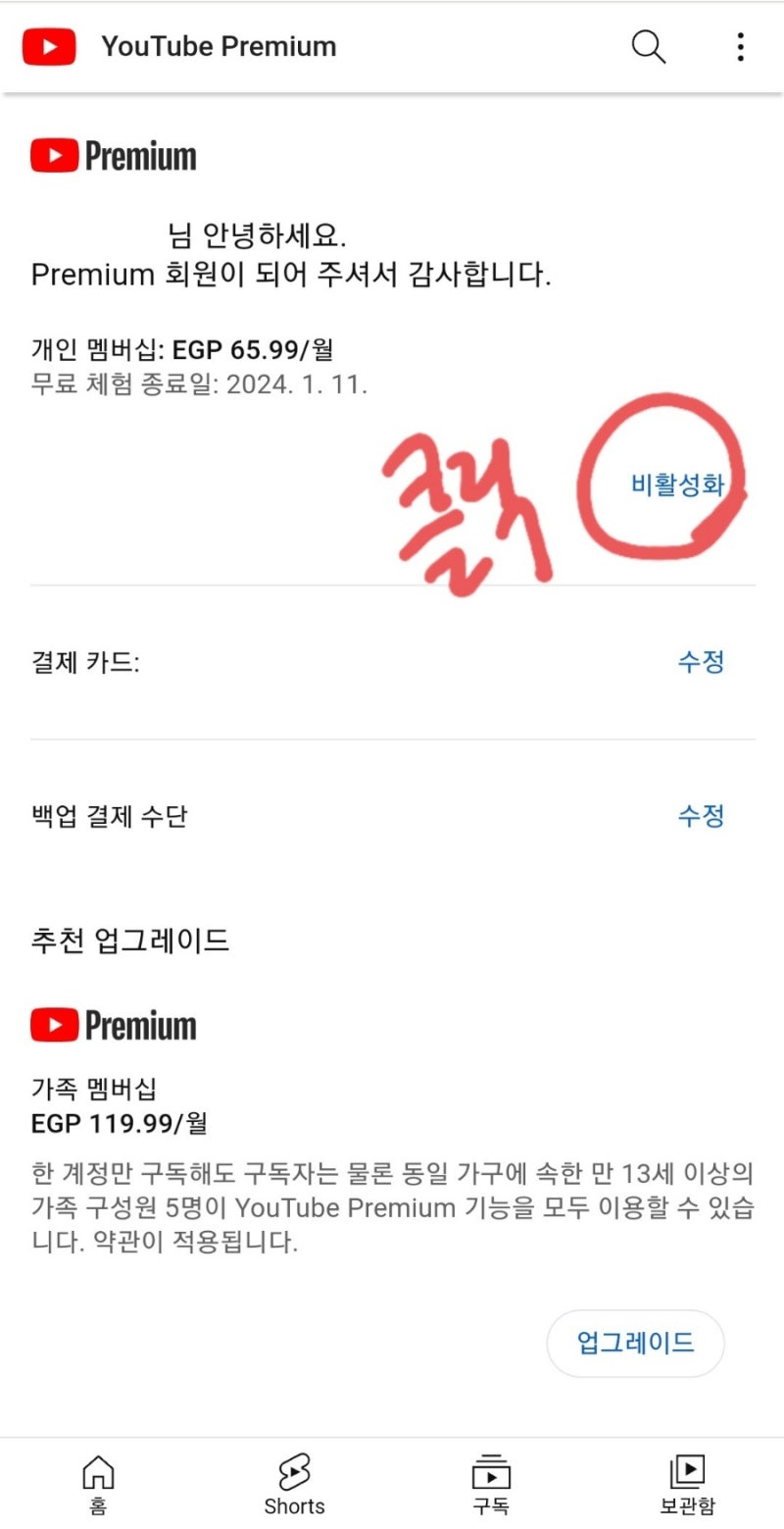 유튜브 프리미엄 우회 가입 방법이집트한번에 성공 네이버 블로그