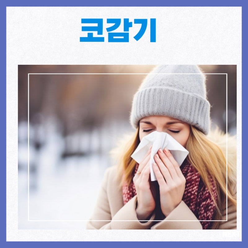 코감기 빨리 낫는법 코막힘 뚫는법 코감기약 네이버 블로그
