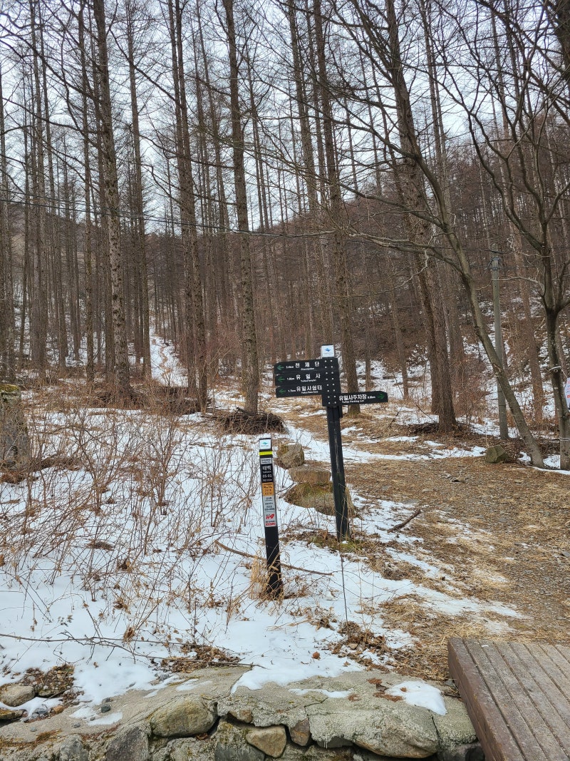 태백산 유일사 최단코스 겨울 등산 높이 시간 난이도 초보 뚜벅이 기차 추천 네이버 블로그