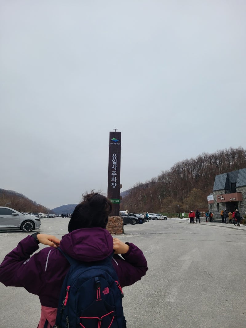 태백산 유일사 최단코스 겨울 등산 높이 시간 난이도 초보 뚜벅이 기차 추천 네이버 블로그