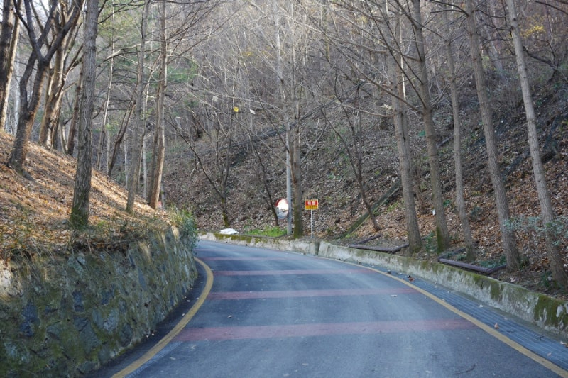 대전 가볼만한 곳 만인산 자연휴양림 34 산림문화휴양관 네이버 블로그