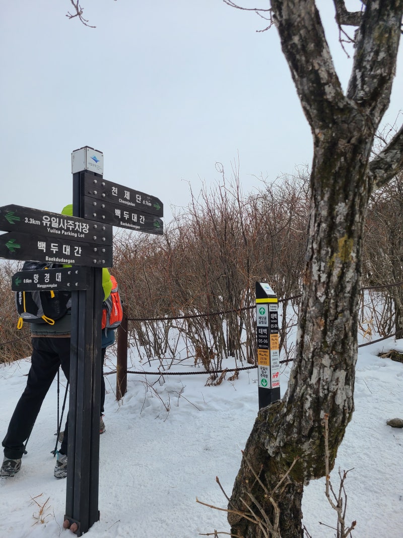 태백산 유일사 최단코스 겨울 등산 높이 시간 난이도 초보 뚜벅이 기차 추천 네이버 블로그
