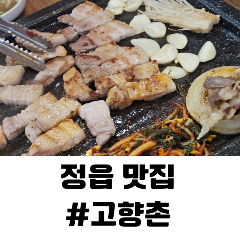 정읍여행 고향촌 수성동 가성비 좋고 삼겹살이 맛있는 정읍 맛집 네이버 블로그