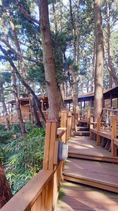 꼼꼼 총정리 충남 보령 가볼만한곳 대천 죽도 상화원휴관기간 관람가능일 입장료 주차장 네이버 블로그