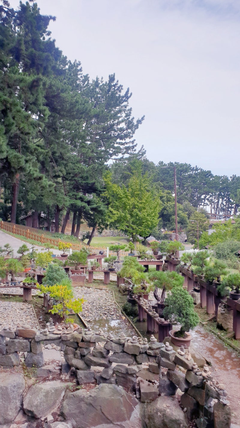 꼼꼼 총정리 충남 보령 가볼만한곳 대천 죽도 상화원휴관기간 관람가능일 입장료 주차장 네이버 블로그