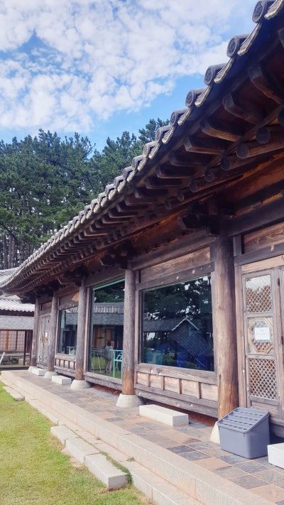 꼼꼼 총정리 충남 보령 가볼만한곳 대천 죽도 상화원휴관기간 관람가능일 입장료 주차장 네이버 블로그